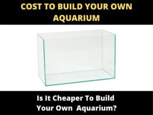 Cost Comparison: Building Your Own Aquarium vs. Buying - Which Saves ...